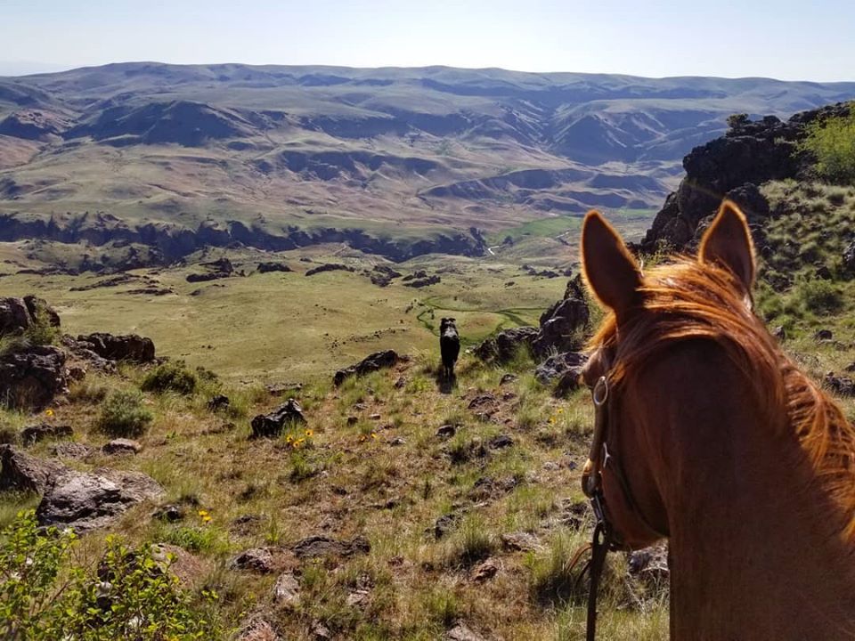 Annie Poem 1 - RB9 Publishing